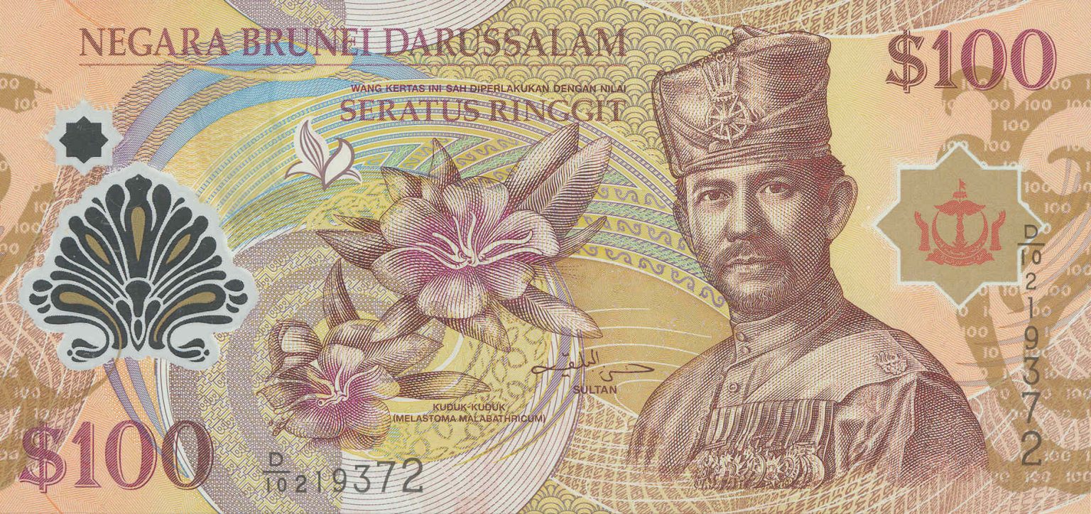 Brunei new date (2008) 100-dollar note (B202b) confirmed – BanknoteNews