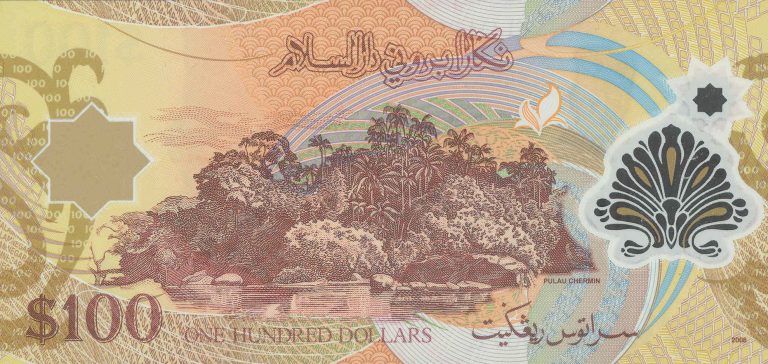 Brunei new date (2008) 100-dollar note (B202b) confirmed – BanknoteNews