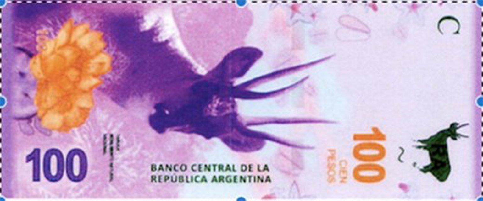 Argentina new note designs unveiled for 2017 introduction – BanknoteNews