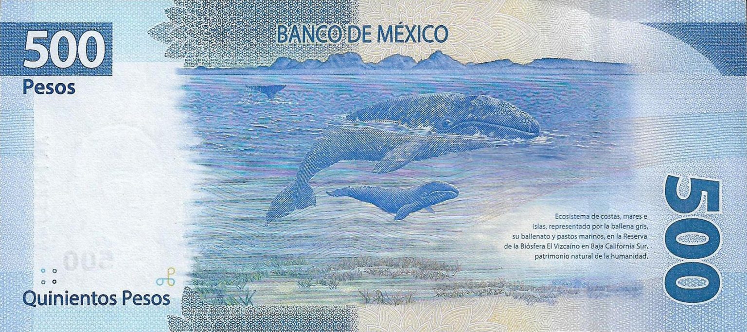Mexico new 500-peso note (B717a) confirmed – BanknoteNews