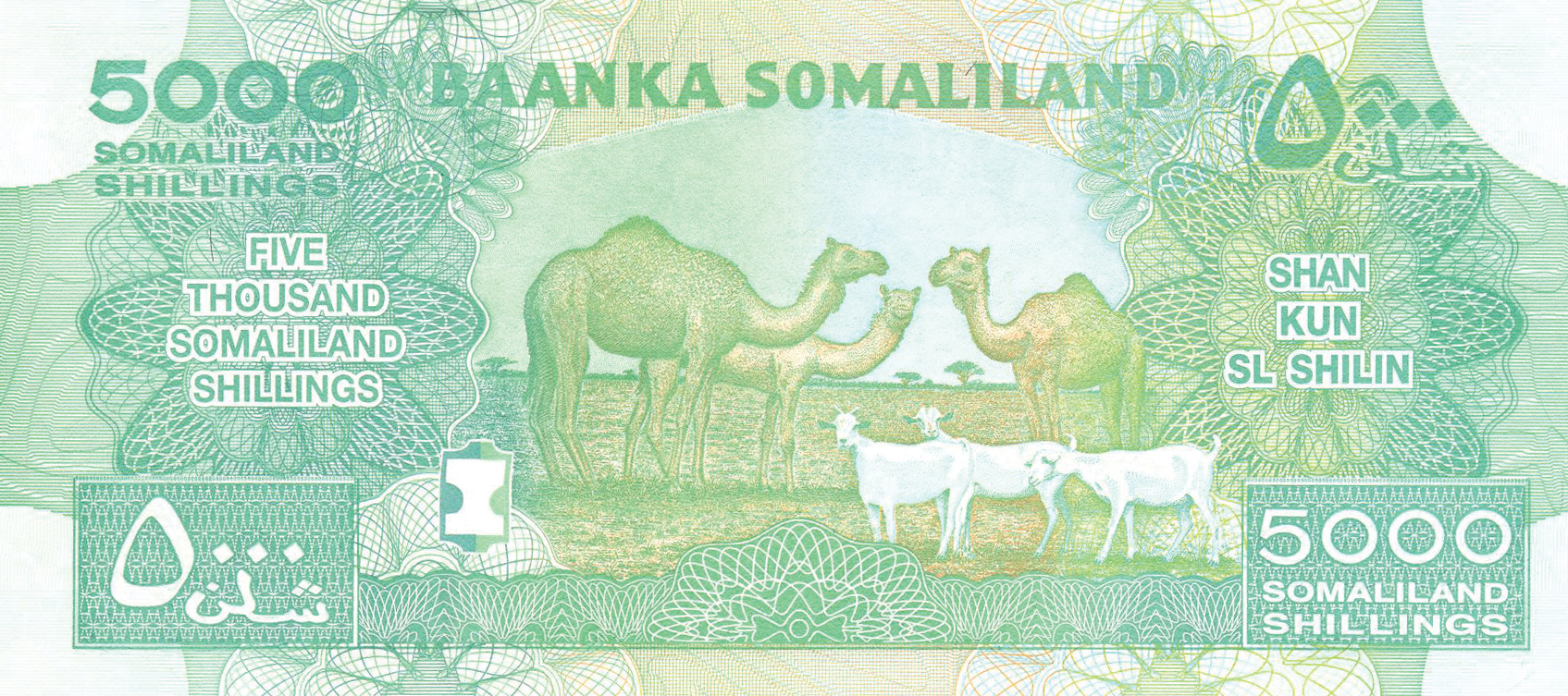 Somaliland new 1,000- and 5,000-shilling notes (B123a and B124a ...