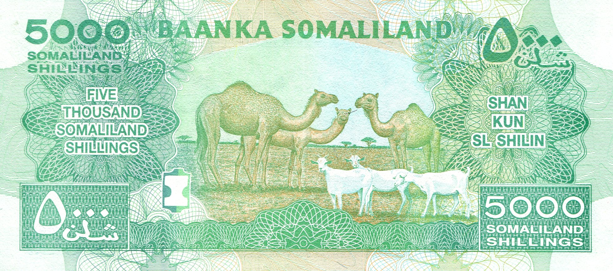 Somaliland new date (2015) 5,000-shilling note (B124d) confirmed ...