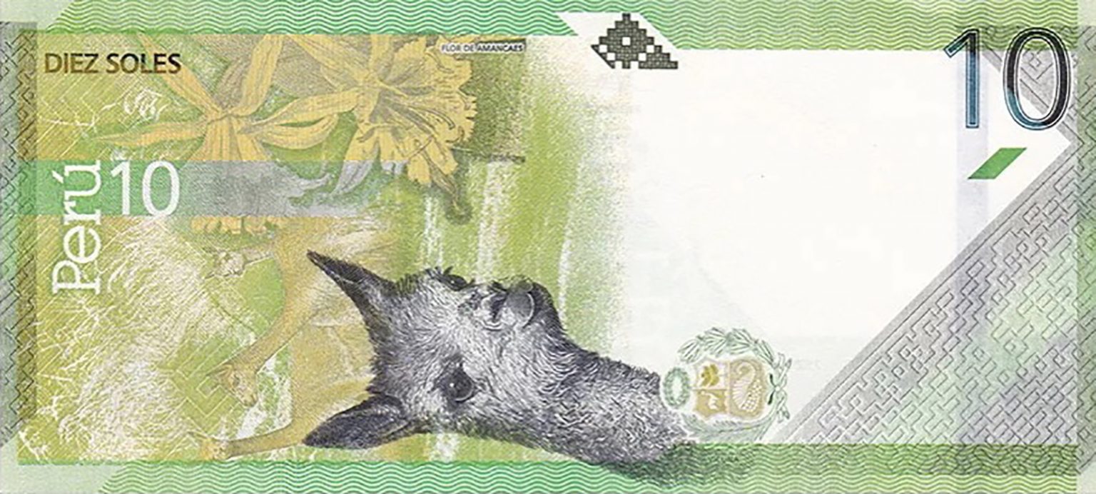 Peru new 10-sol note (B537a) confirmed introduced on 22.07.2021 ...