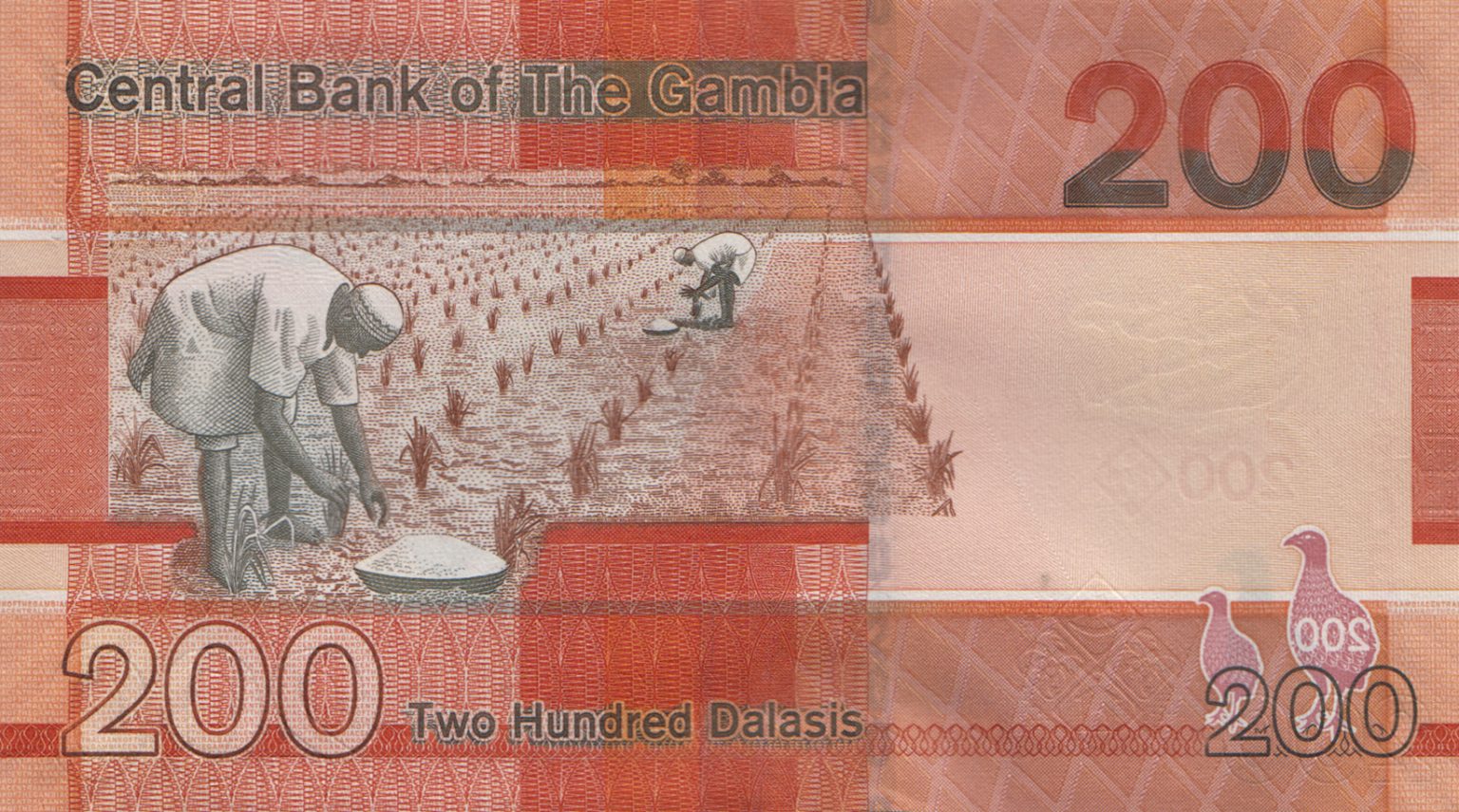Gambia new sig/date (2020) 200-dalasi note (B240b) confirmed – BanknoteNews