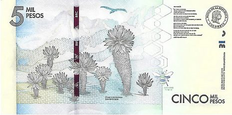 Colombia new signature 5,000-peso note (B994g) confirmed – BanknoteNews