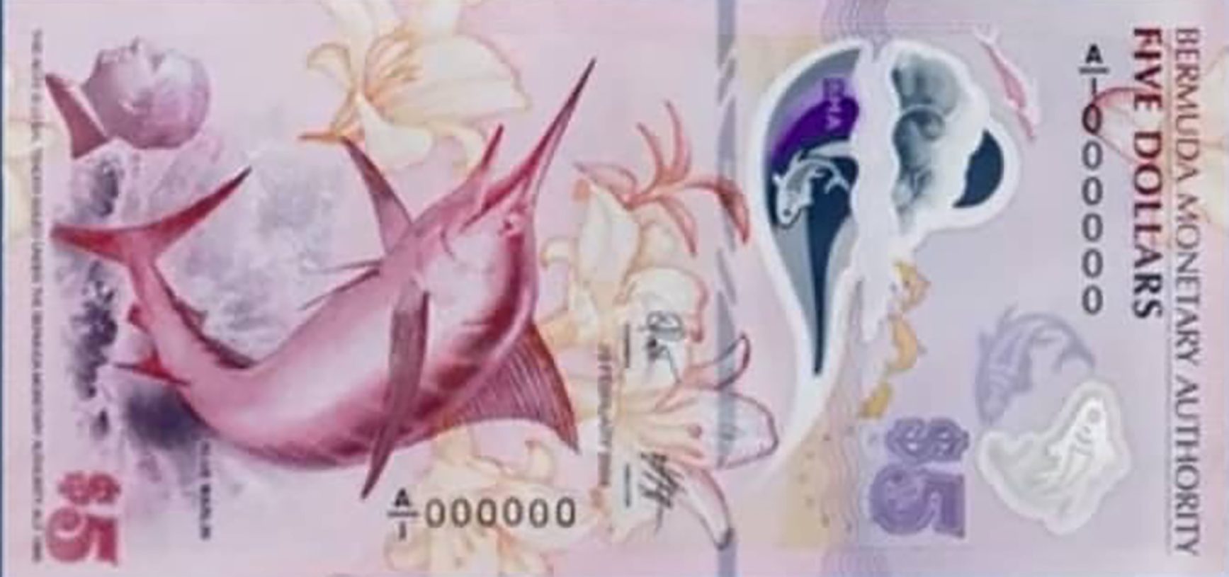 New Note – BanknoteNews